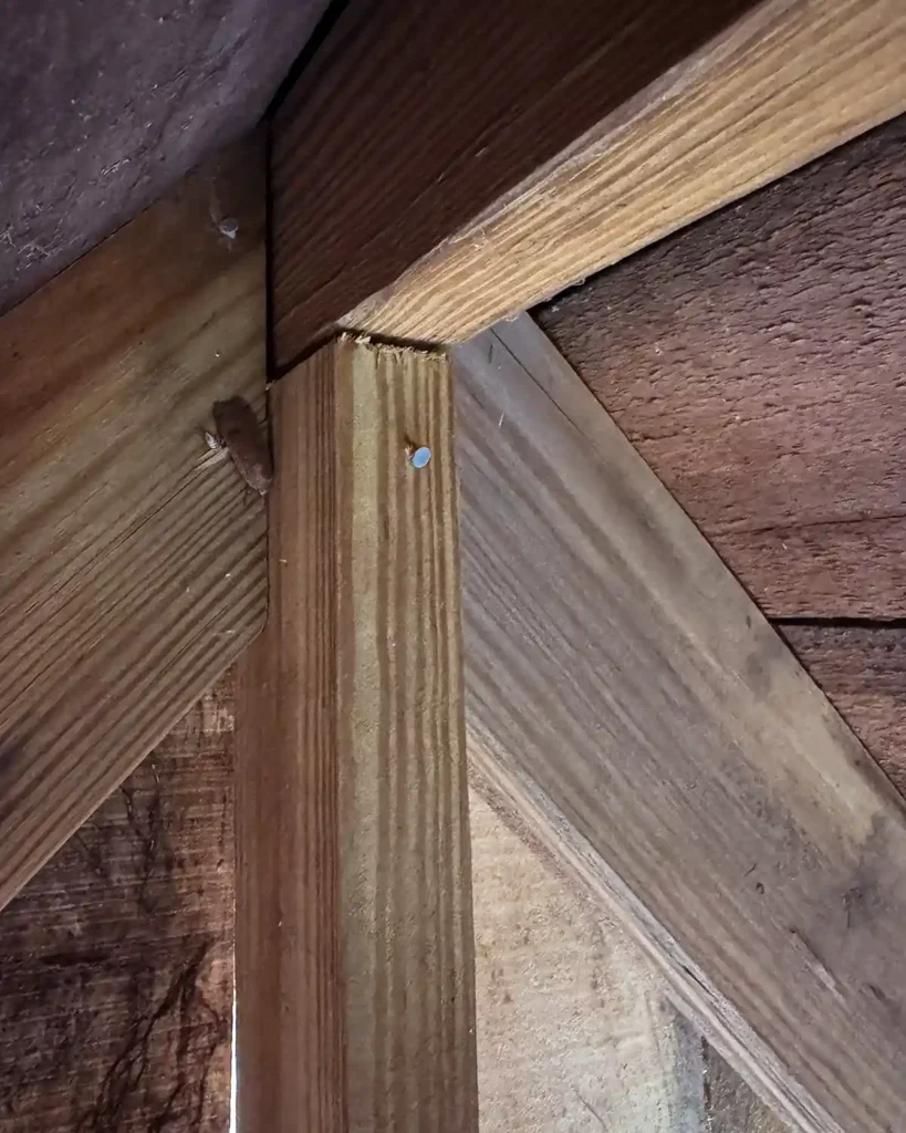 Overview For How To Build A DIY Pitched Roof For A Shed